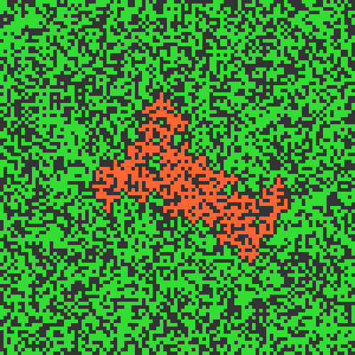 Forest fire model – Physics of Risk